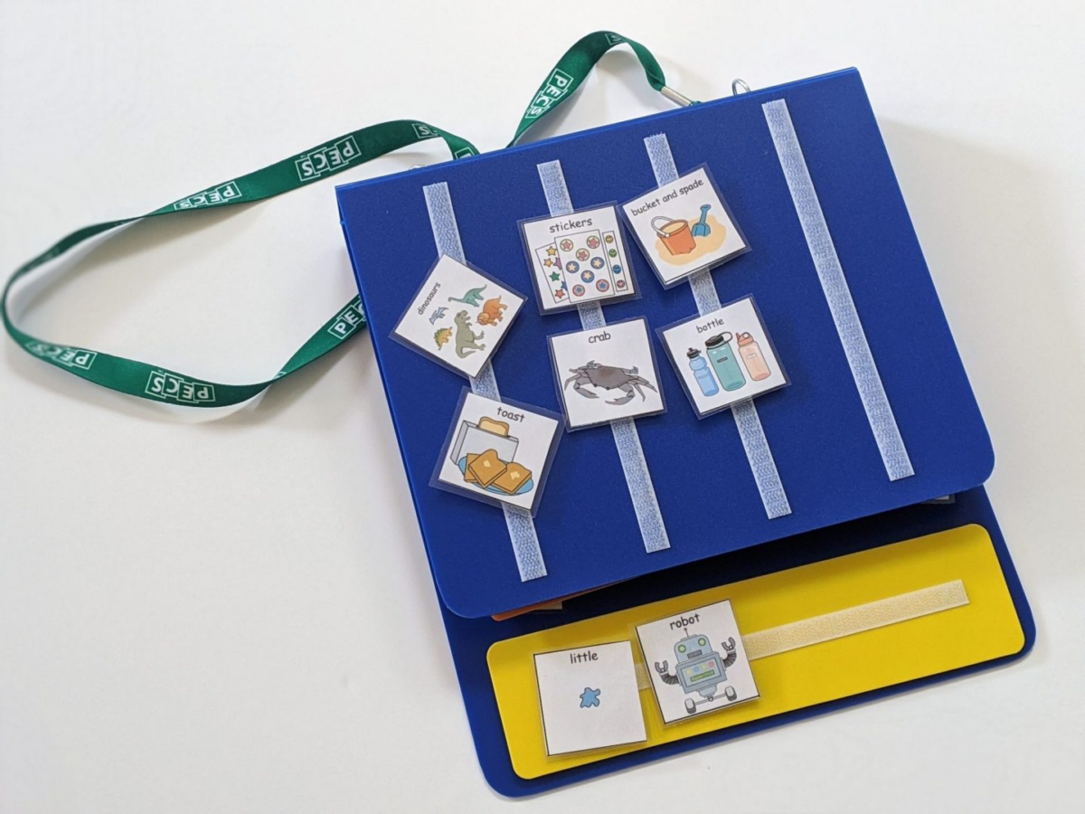How to work with non-speaking children | Fora - Allied Health Services